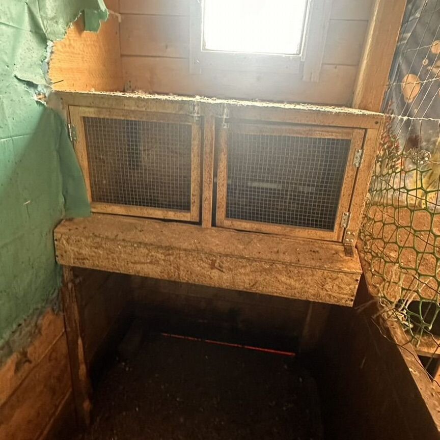 Брудер для цыплят