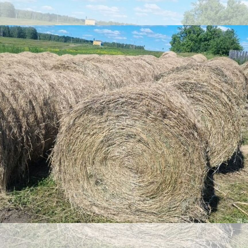 Сено в рулонах с доставкой