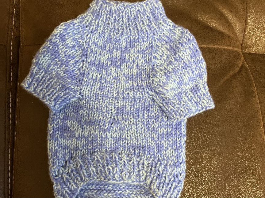 Вязаная кофточка для йорка. Новая