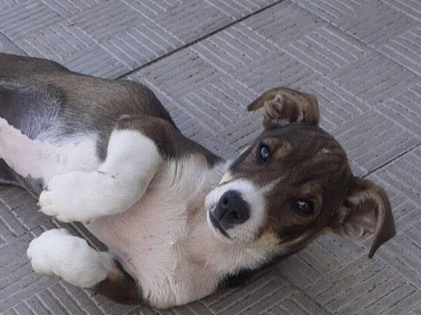 Очень умная девочка