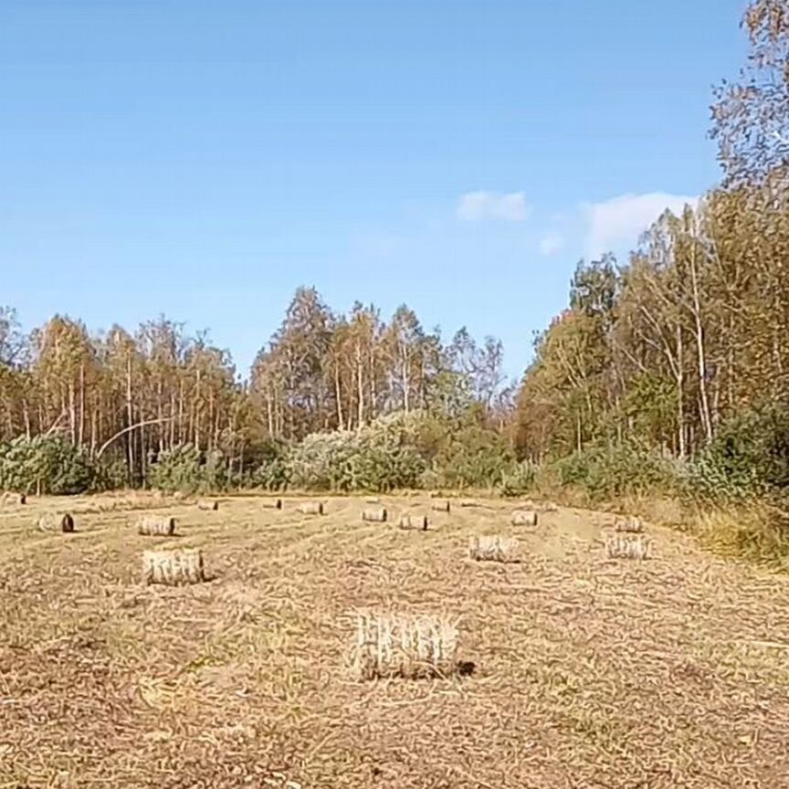 Сено в мини рулонах