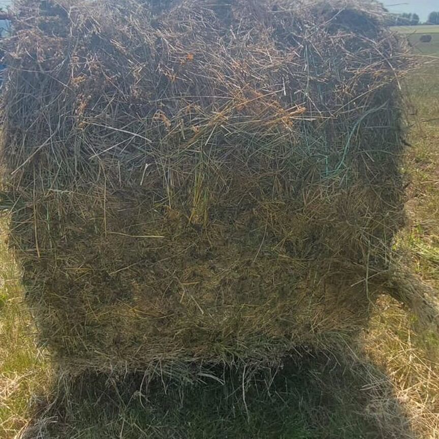 Сено в рулонах