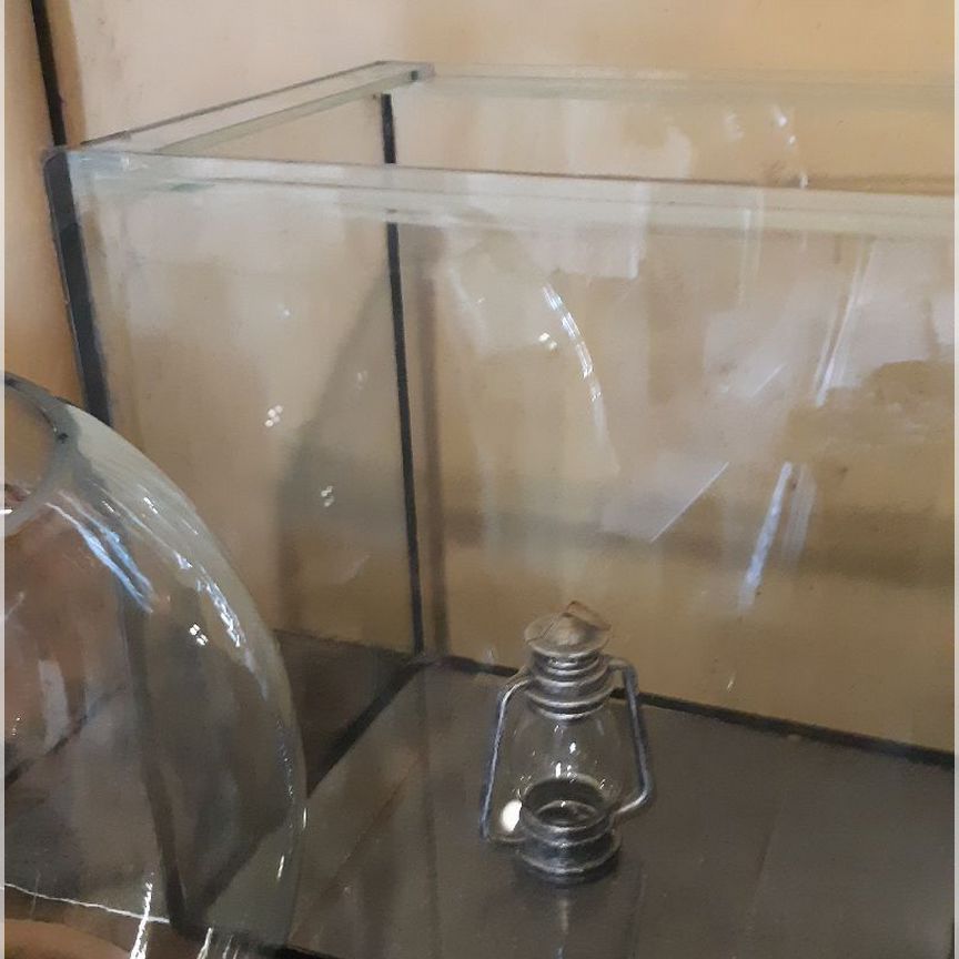 Аквариумы