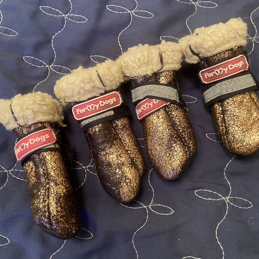 Ботиночки для маленькой собачки