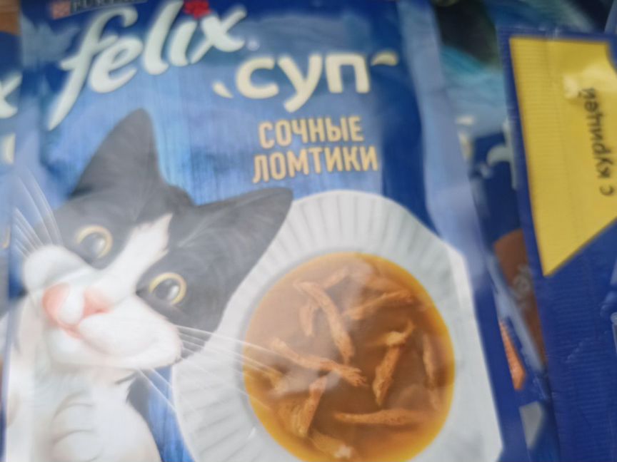 Кошачий корм влажный