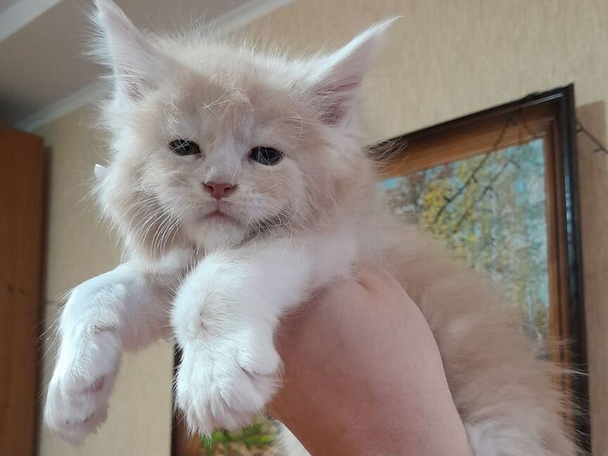 Снежный великан