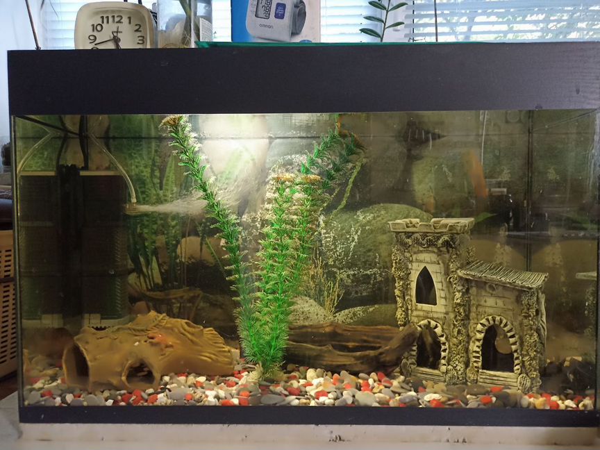 Продаю аквариум