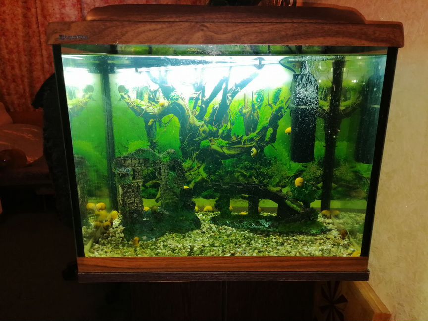 Аквариум с тумбой