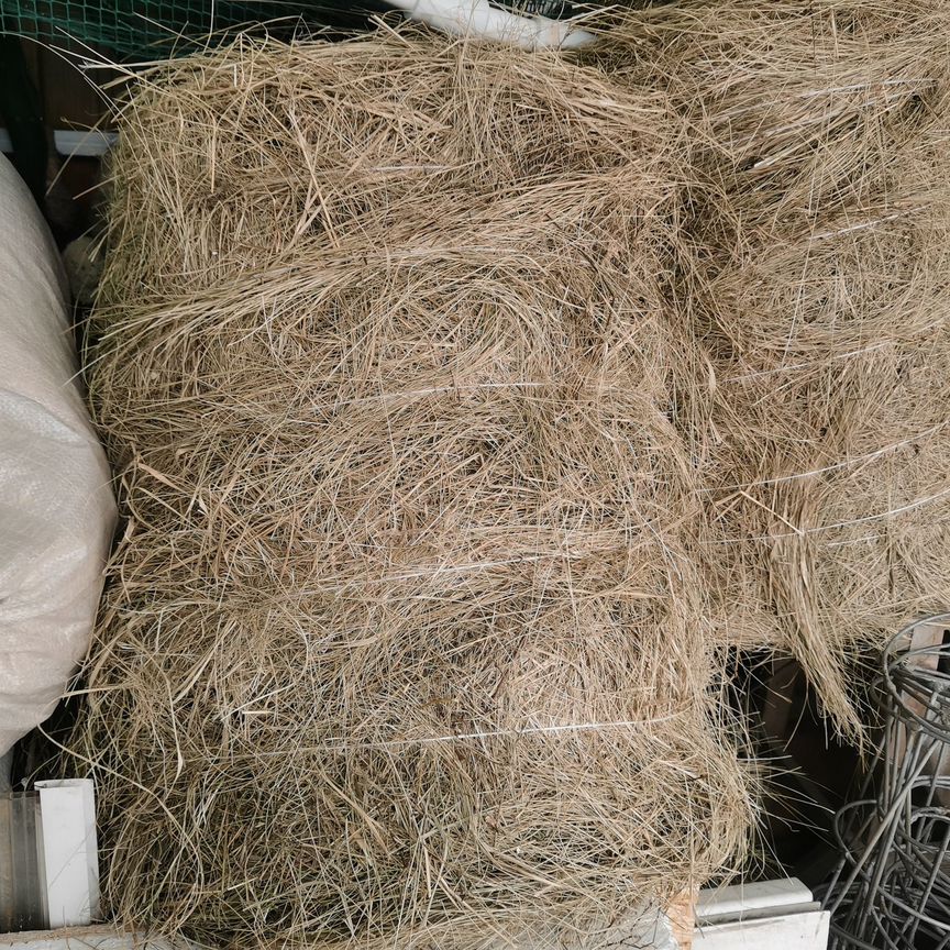 Сено в мини рулонах