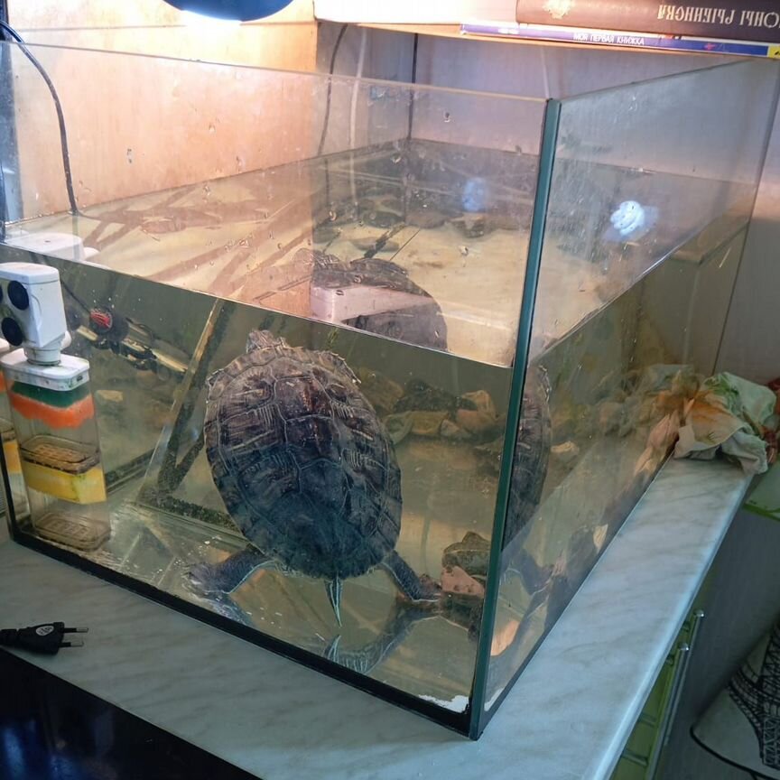 Аквариумы для черепах
