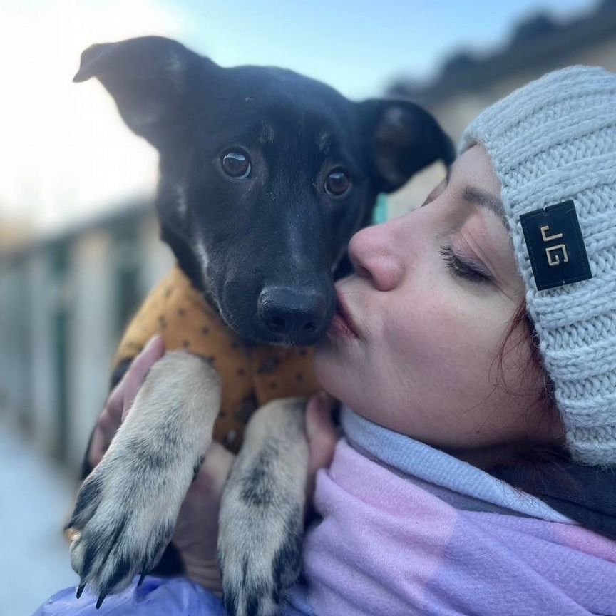 Щенок в добрые руки