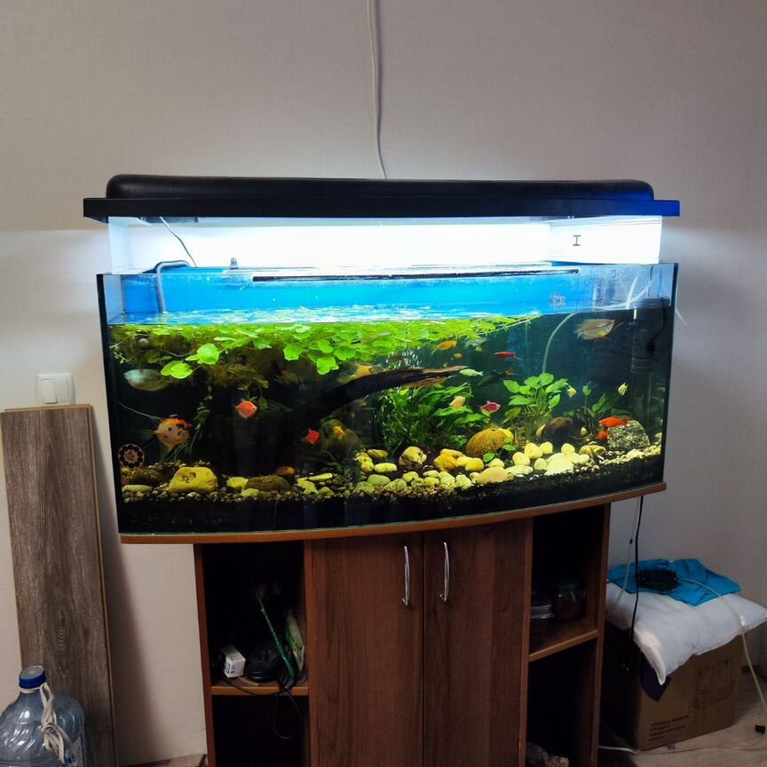 Аквариум 250л с тумбой