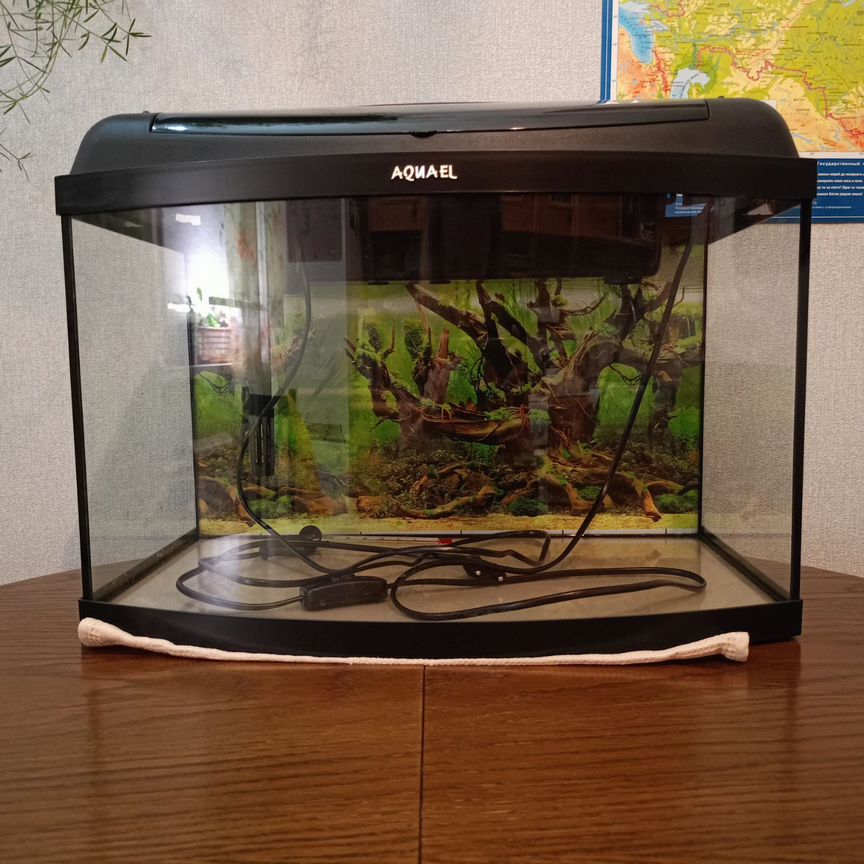 Аквариум