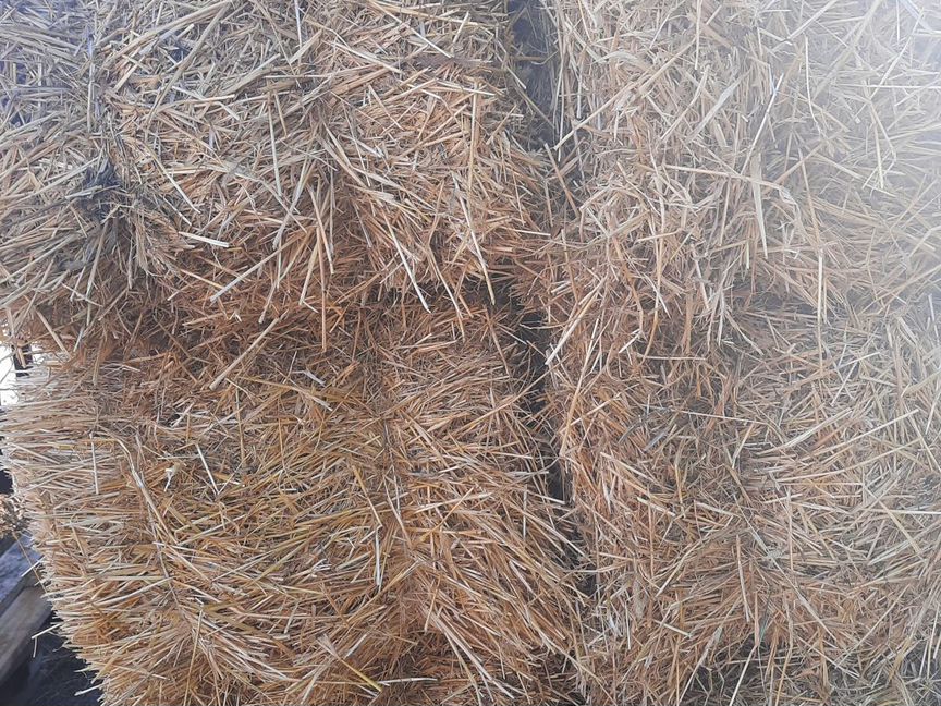 Солома в тюках