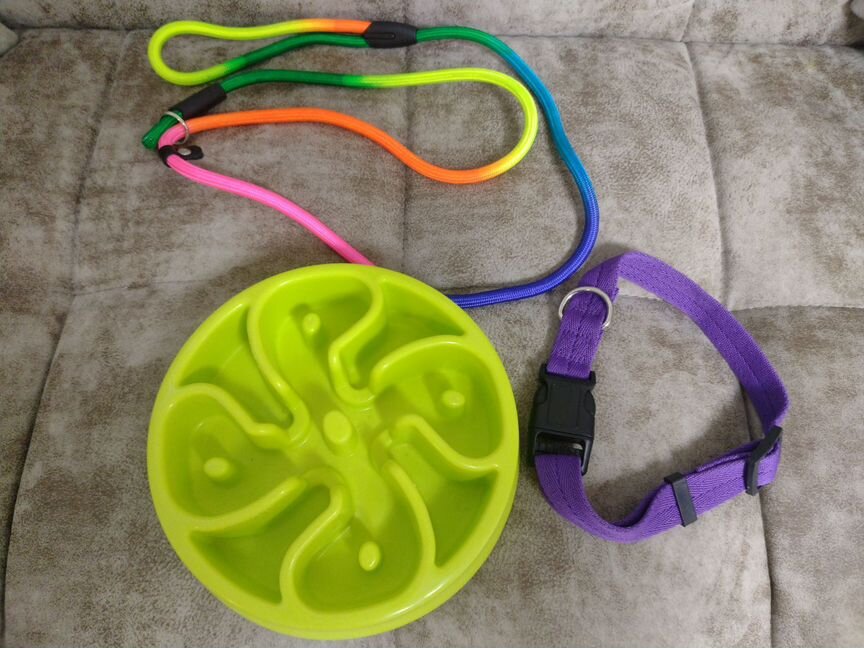 Аксессуары для собаки