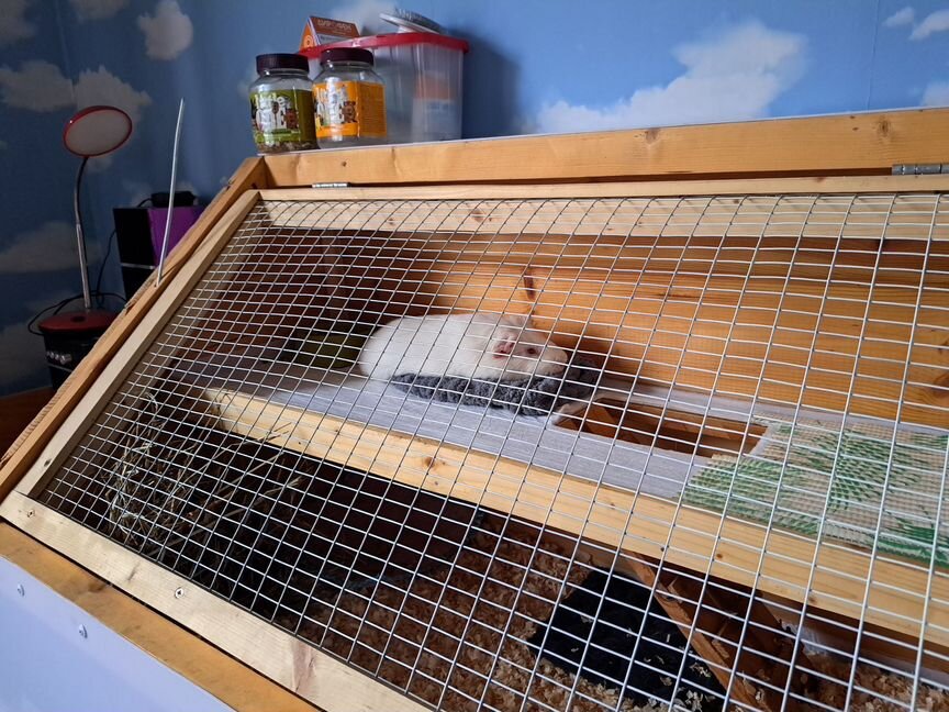 Стеллаж для животных