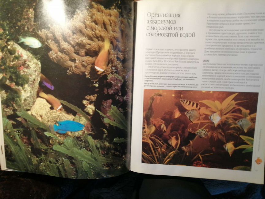 Аквариумные рыбки. Энциклопедия