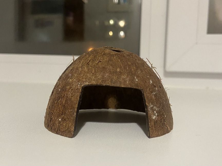 Домик для рептилий, рыбок, улиток