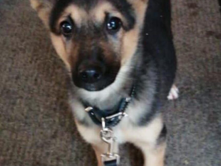 Красавчик Ральф