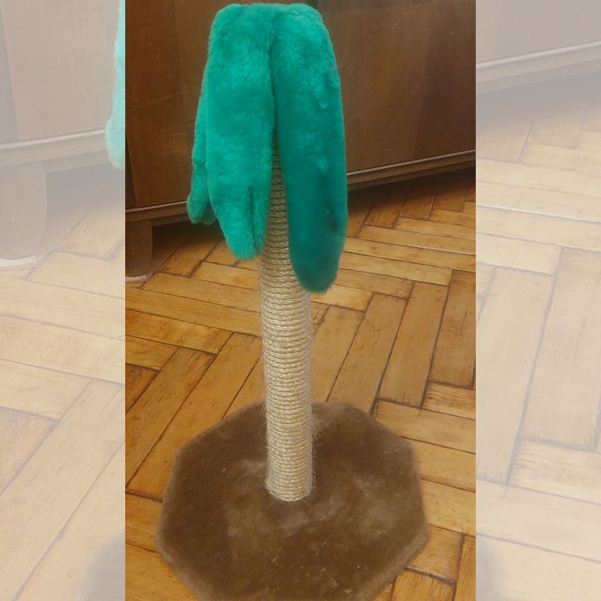 Когтеточка для кошек