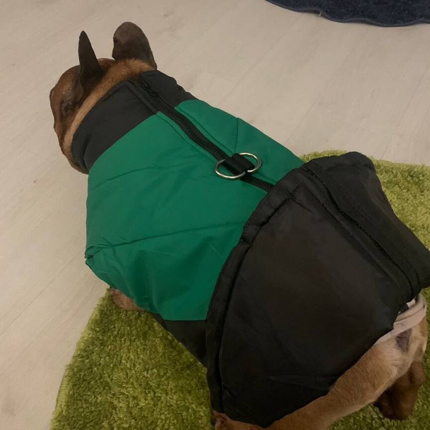 Куртка для вашего питомца