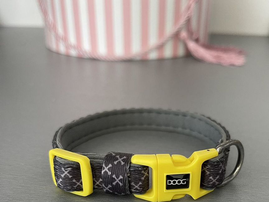 Ошейник для кошек или собак doog