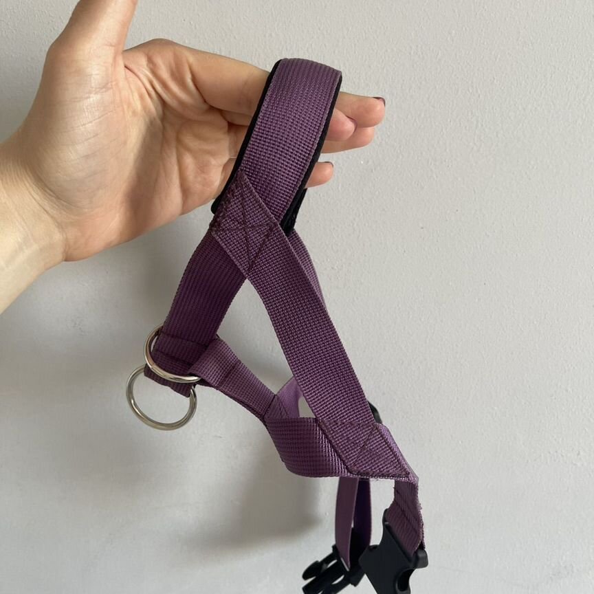 Халти для собак (недоуздок)