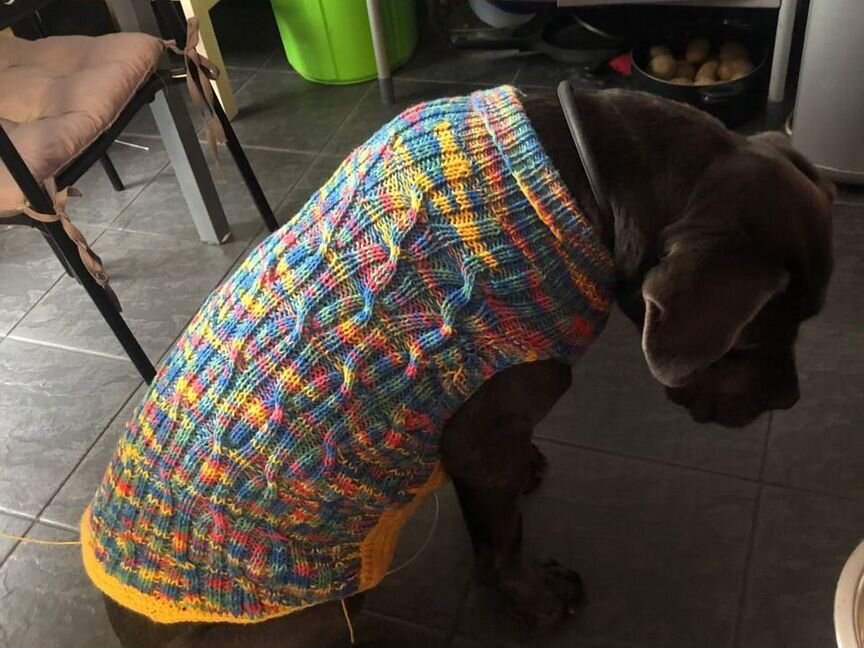 Вязанные свитера на собак разных размеров