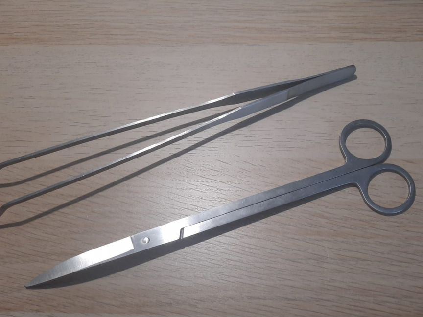 Аквариумный пинцет и ножницы