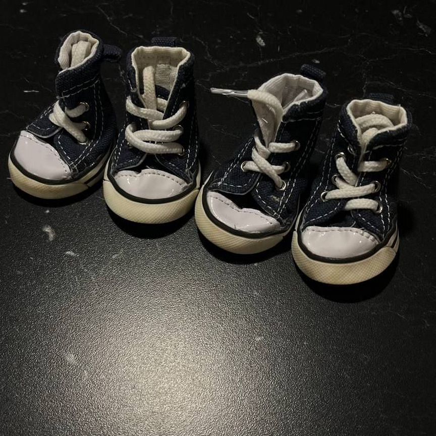 Ботинки для собак