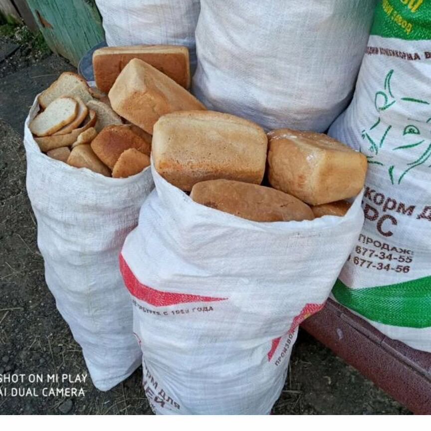 Хлеб на корм животным