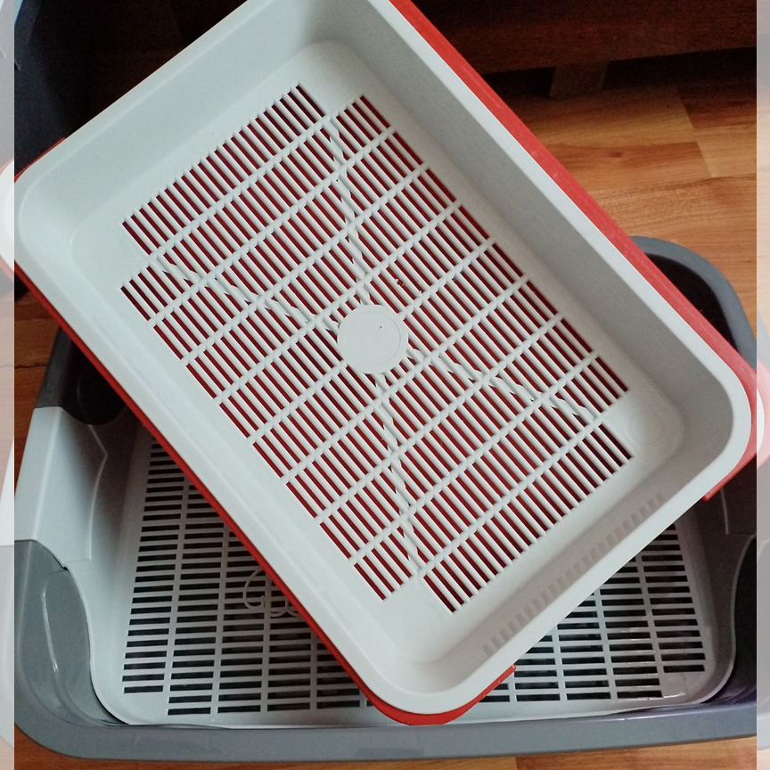 Лотки - туалеты для кошек