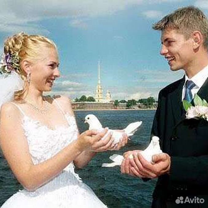 Белые голуби на ваше мероприятие
