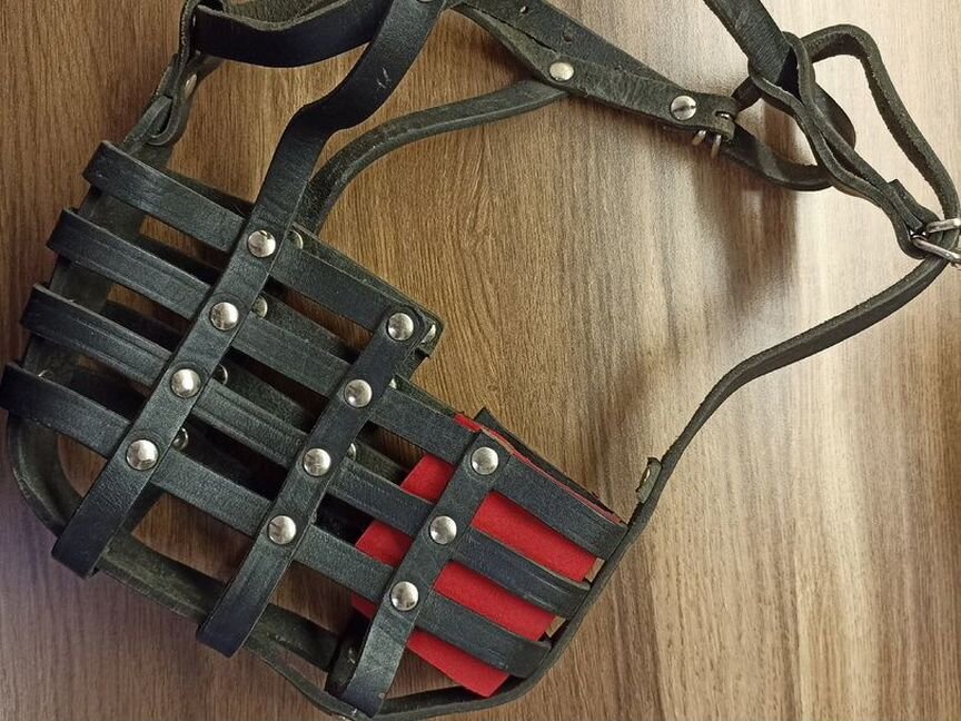 Амуниция для собак