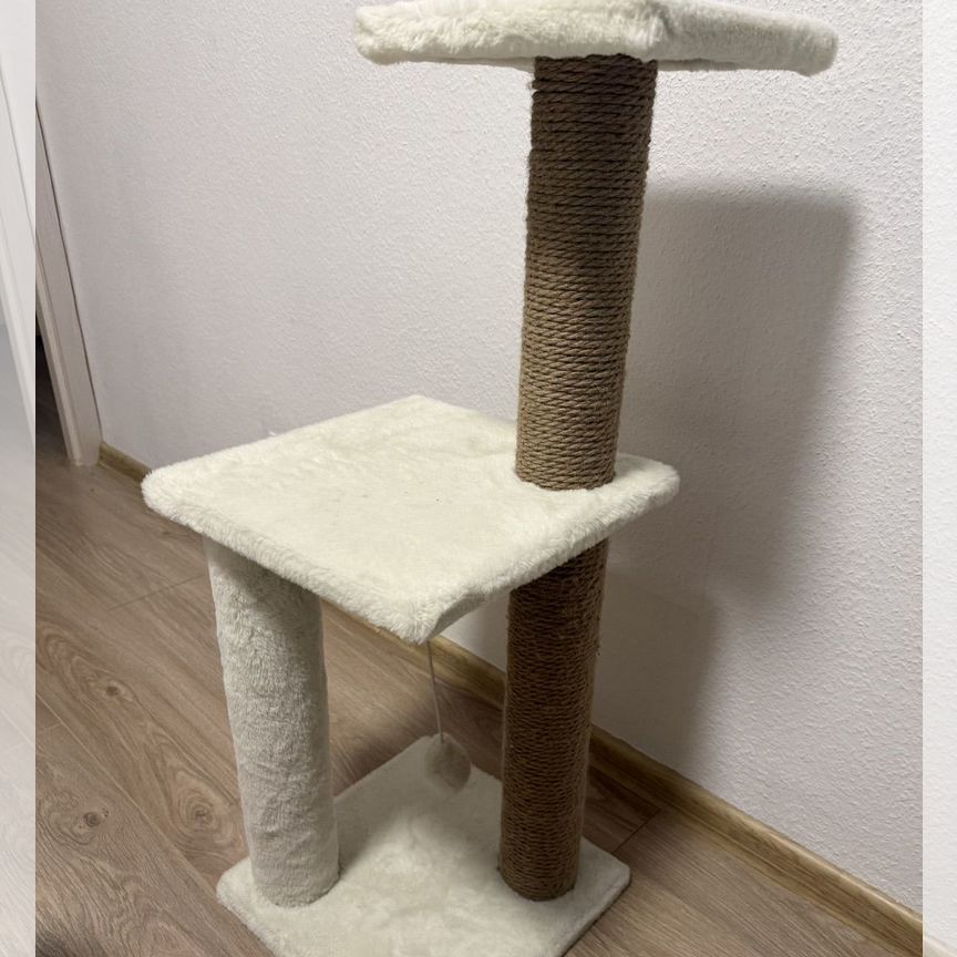 Когтеточка