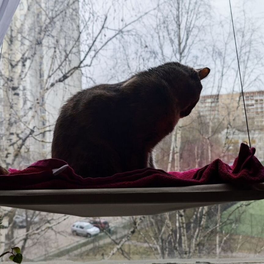 Гамак для кошек на окно