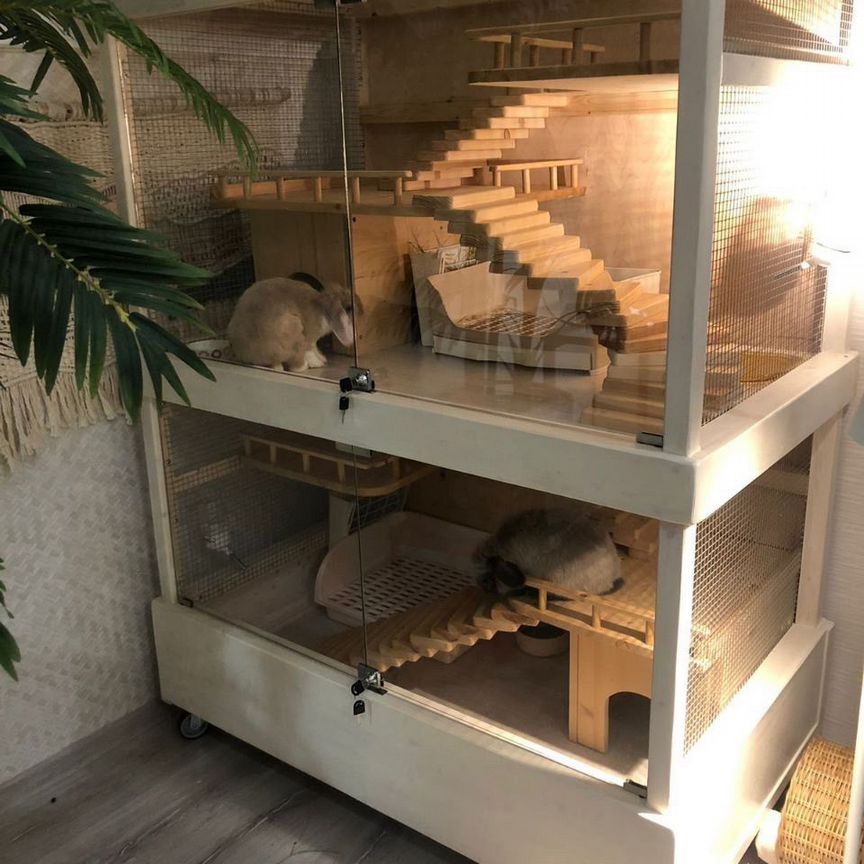 Клетка, для двух питомцев