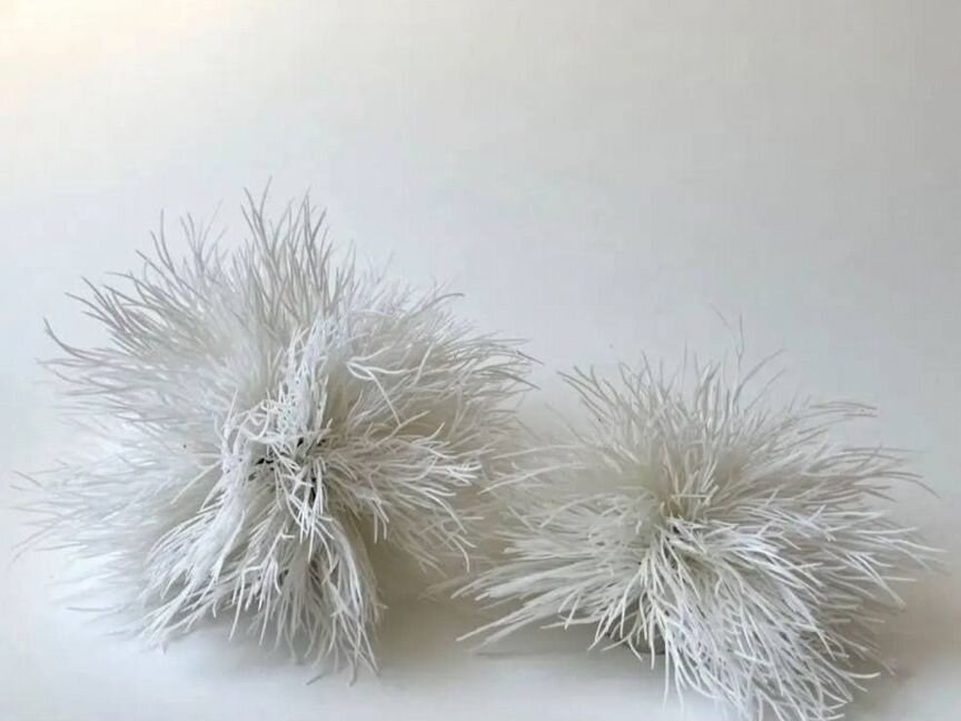 Декорации для аквариума куст трава растения