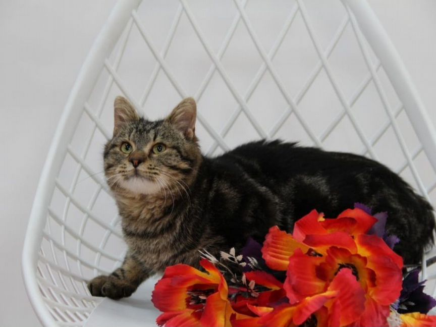 Мраморный мальчик подросток