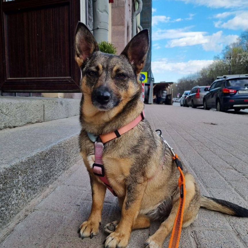 База 7кг ищет дом