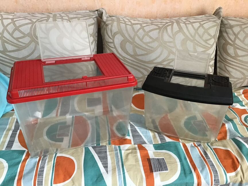 Аквариум. террариум