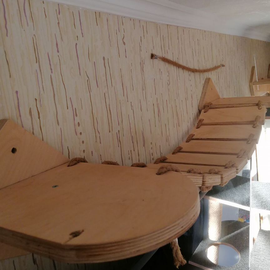 Лесенка для кошек на стену