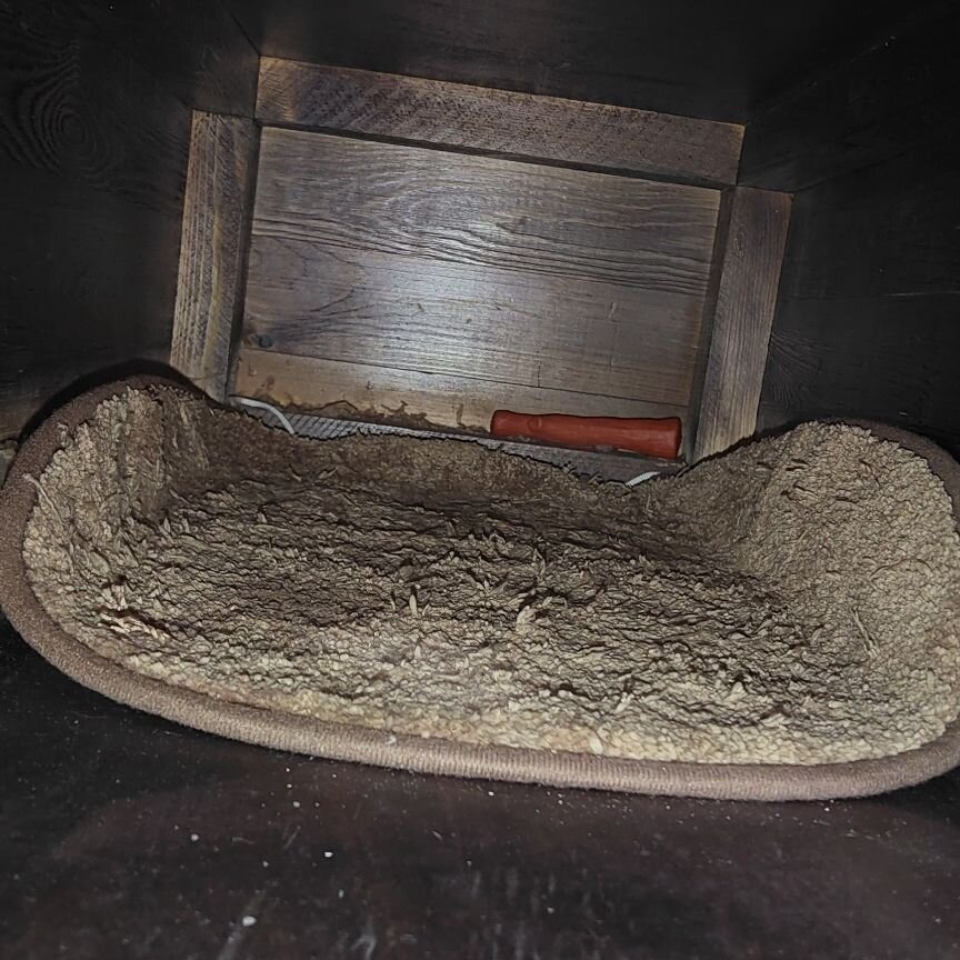 Собачья конура