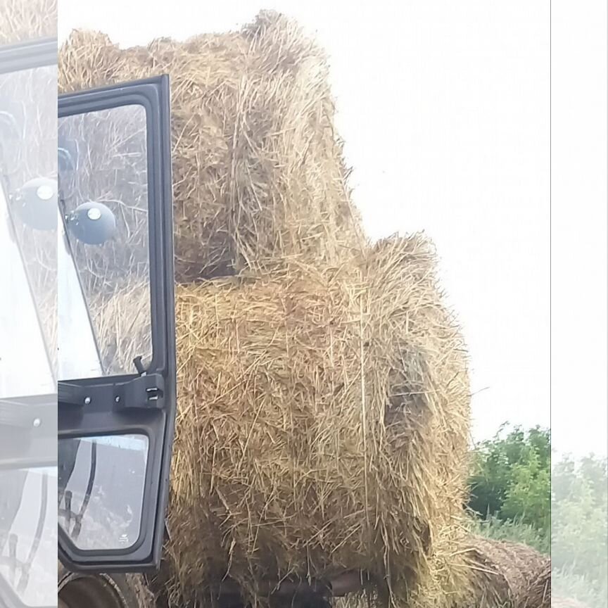 Сено люцерны в рулонах