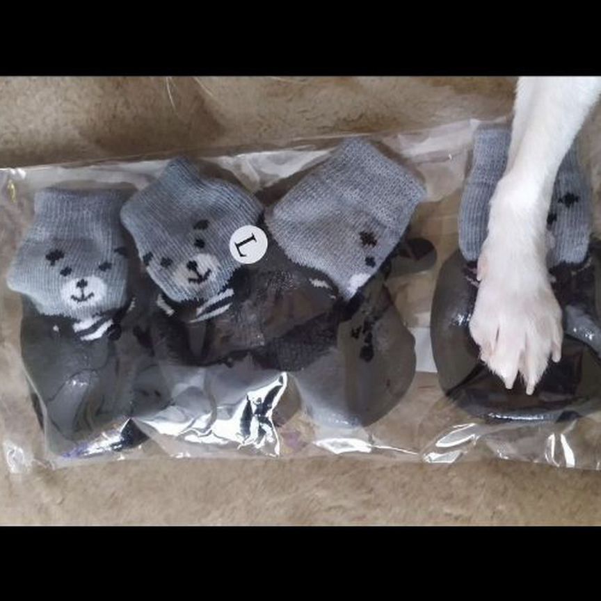 Носки для прогулки для средних собак