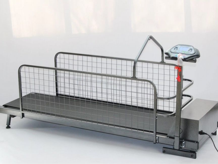 Беговая дорожка для собак от производителя