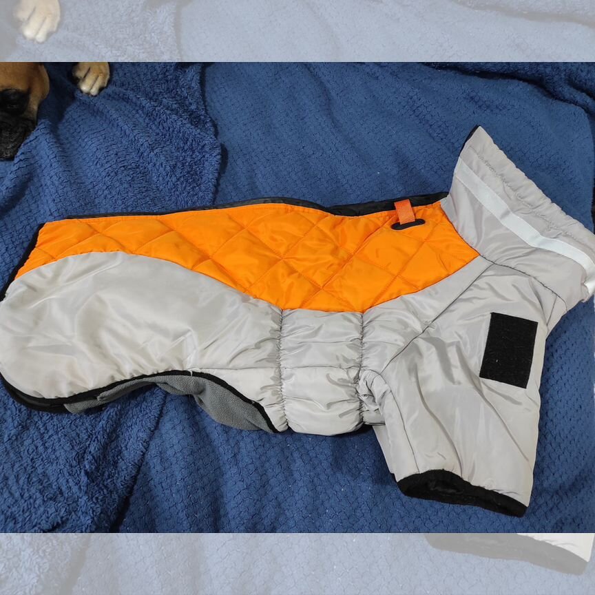 Зимний комбинезон для собак