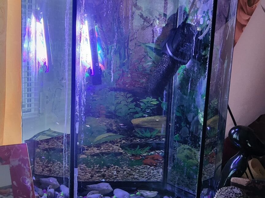 Аквариум