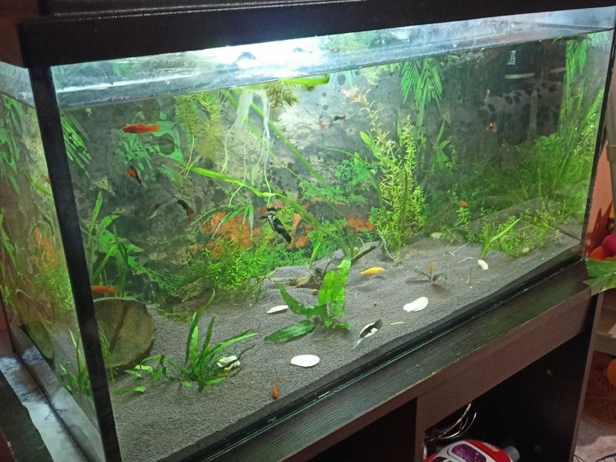 Аквариум