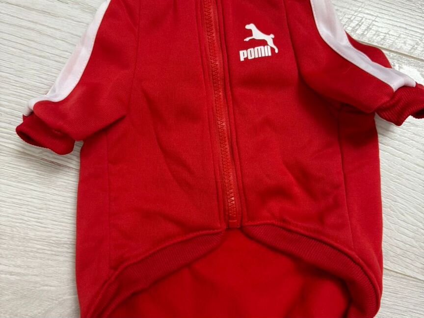 Вещи для маленьких собак